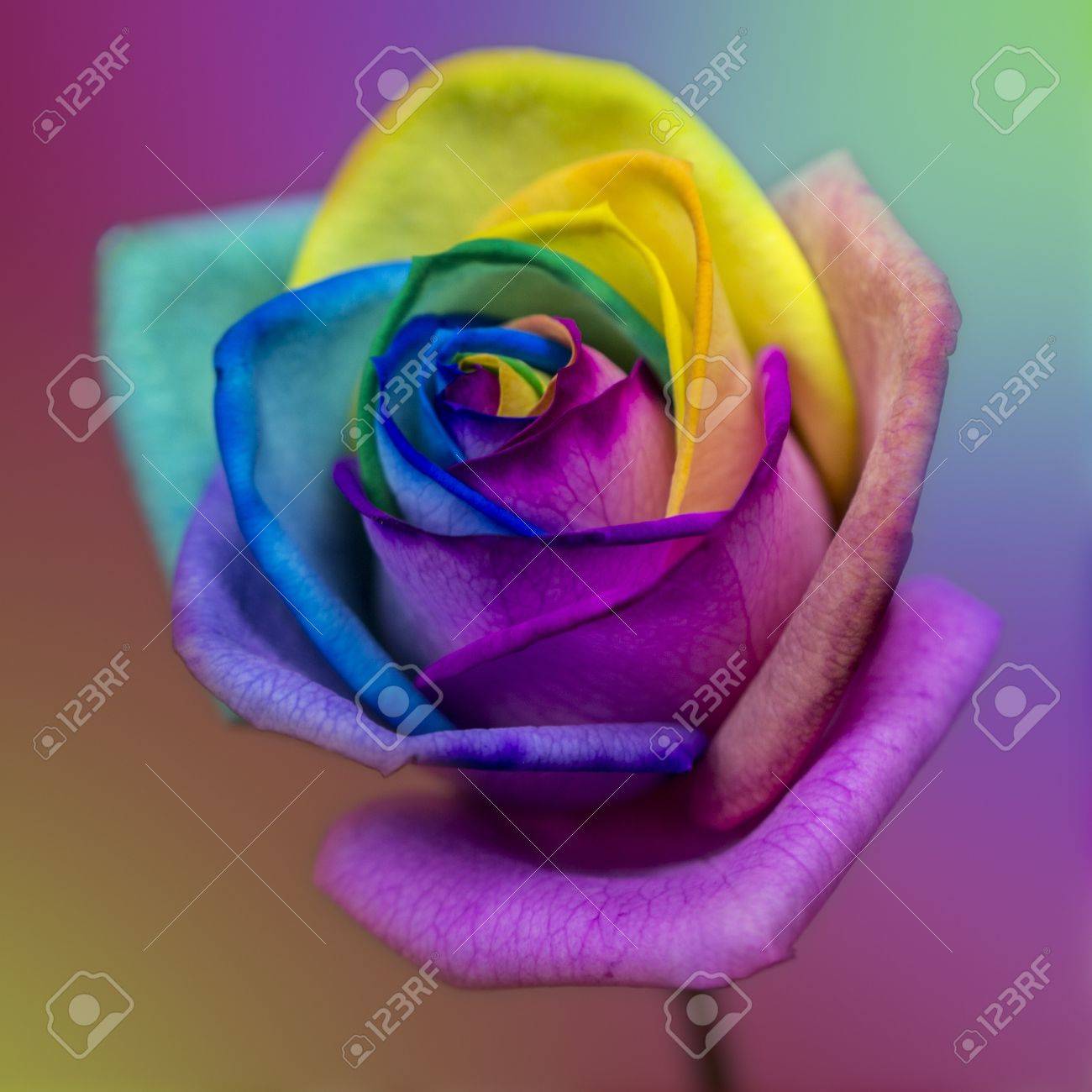 Qué partes tiene una flor completa