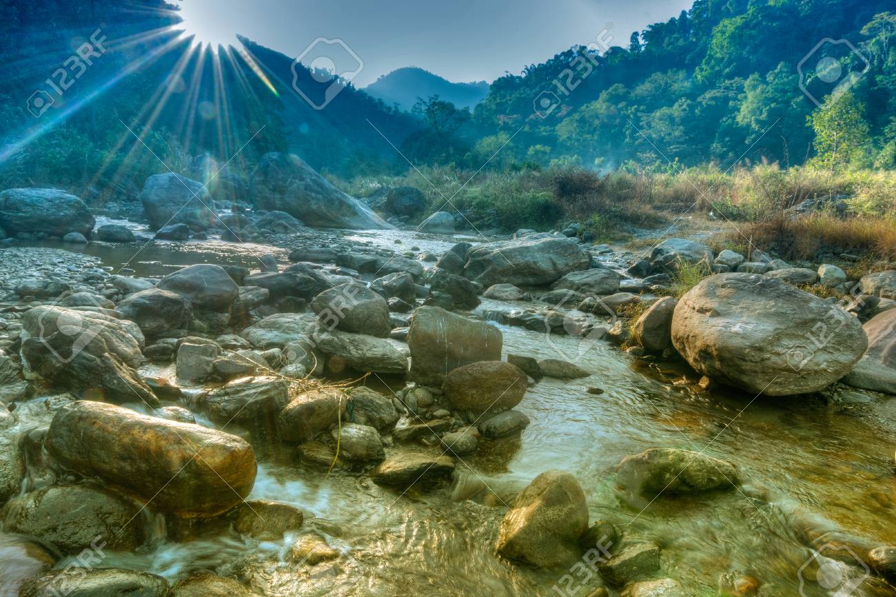 Qué elementos abióticos posee un ecosistema: Descripción y ejemplos