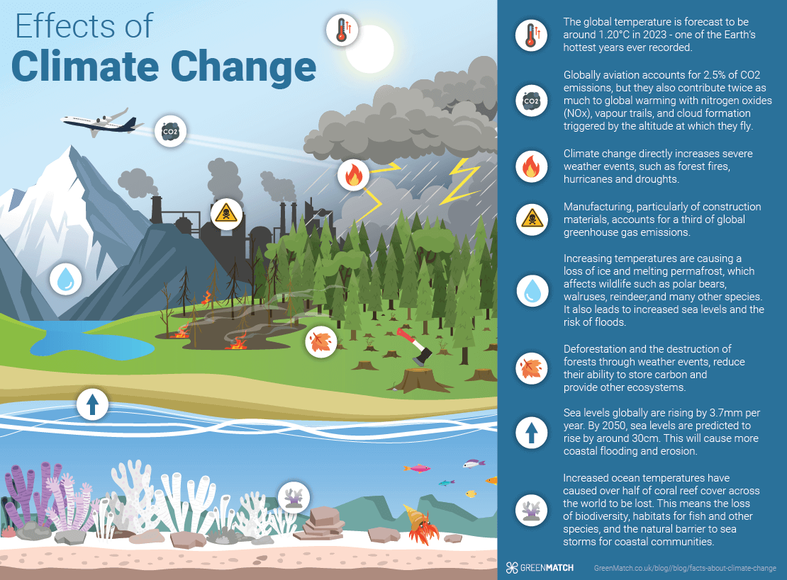 El impacto del cambio climático en los ecosistemas: todo lo que necesitas saber