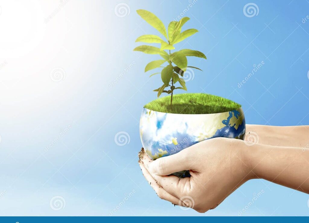 Conservar los recursos naturales: crucial para nuestro planeta