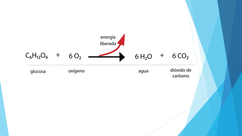 Qué le ocurre a la energía en las reacciones químicas
